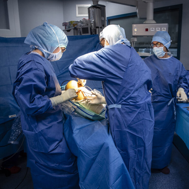 Chirurgie ortho-traumatologie - Centre Hospitalier de Pau